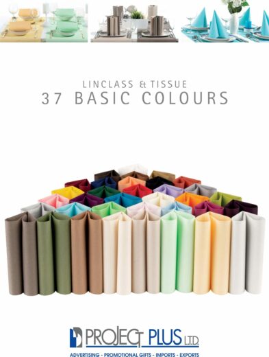 basic2021 – Project Plus LTD